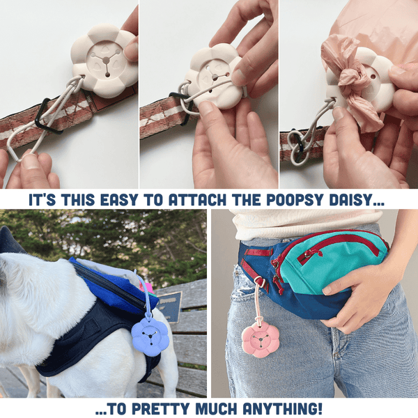 Poopsy Daisy Dog Poop Bag Holder - Blueberry (Periwinkle Blue ...